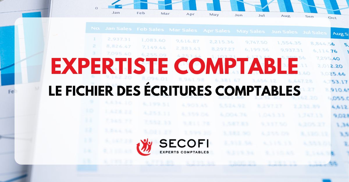Le FEC (Fichier des Écritures Comptables) - SECOFI